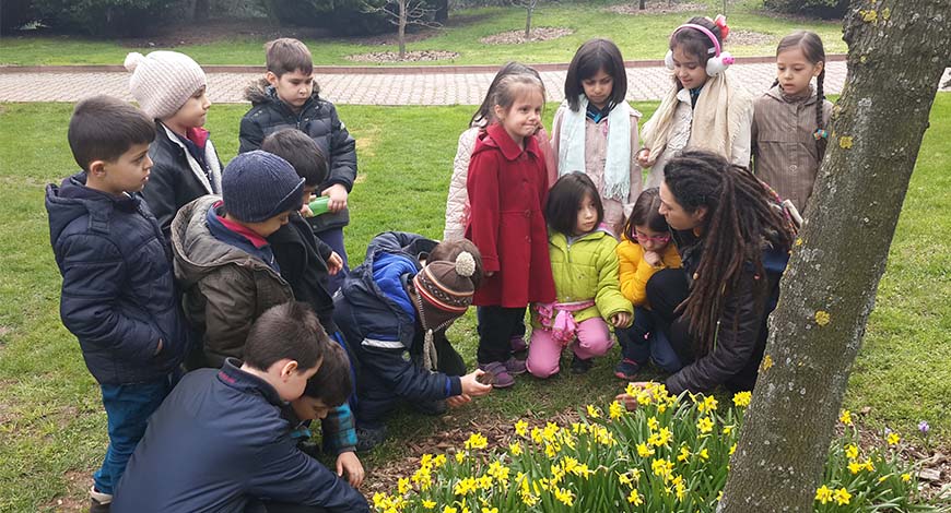 Discovery in the NGBB - Nezahat Gökyiğit Botanic Garden