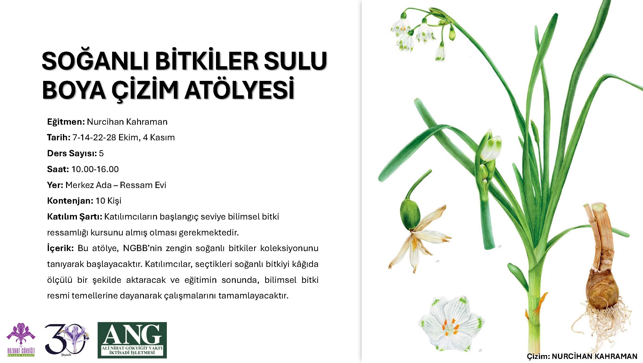 Bilimsel Bitki Ressamlığı Kursu - Nezahat Gökyiğit Botanik Bahçesi